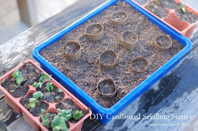 DIY Cardboard Seedling Starter {Earth Day Celebration} - A Crafty Spoonful